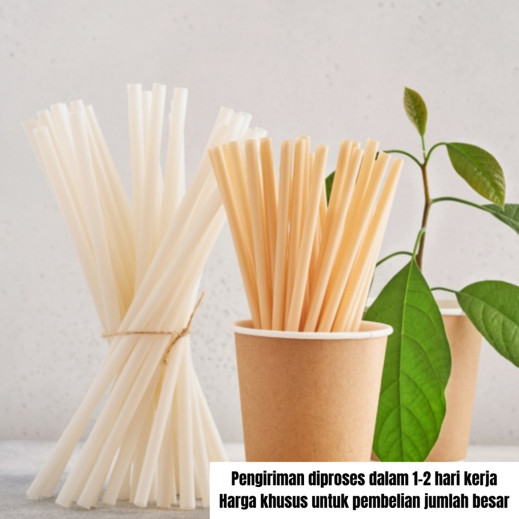 Jual [500 pcs] Cassava Straw 6mm 8mm / Sedotan Singkong Ramah ...