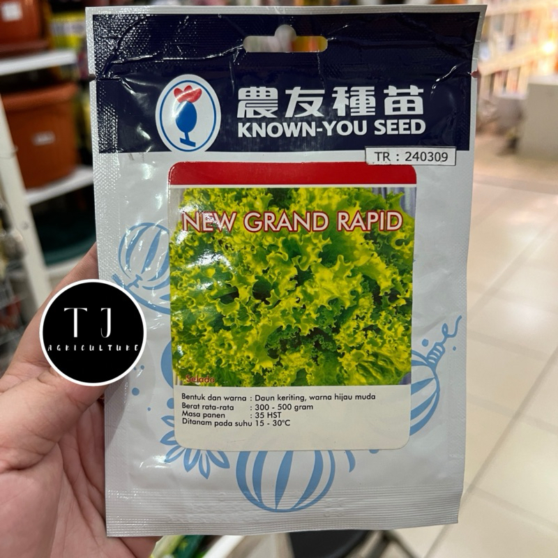 Jual Benih Selada New Grand Rapid 10gr Known You Seed | Shopee Indonesia