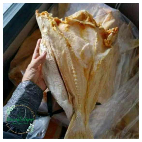 Jual Ikan Asin Jambal Roti Kualitas Super 1kg | Shopee Indonesia