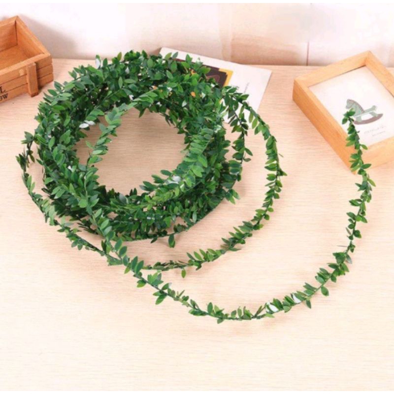 Jual Daun Rambat KAWAT untuk prakarya dan flower crown 3 meter | Shopee ...