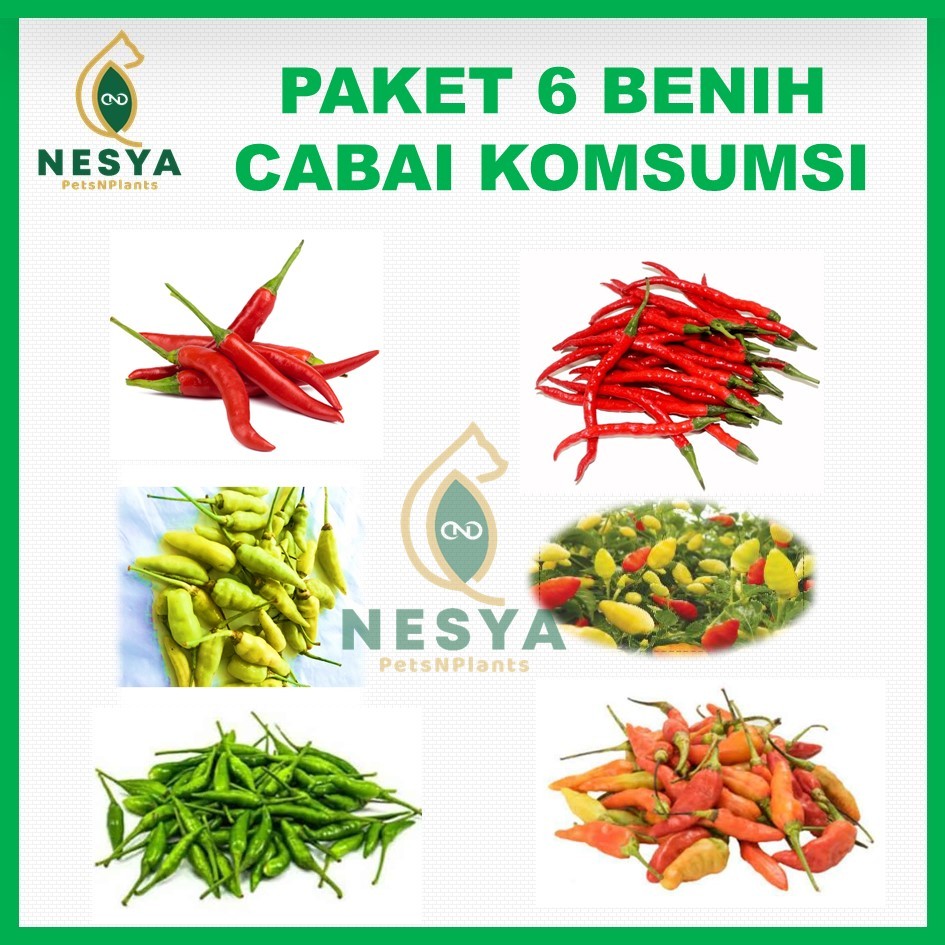 Jual Paket 6 Benih Jenis Cabai Paket Benih Cabe - Cabean | Shopee Indonesia