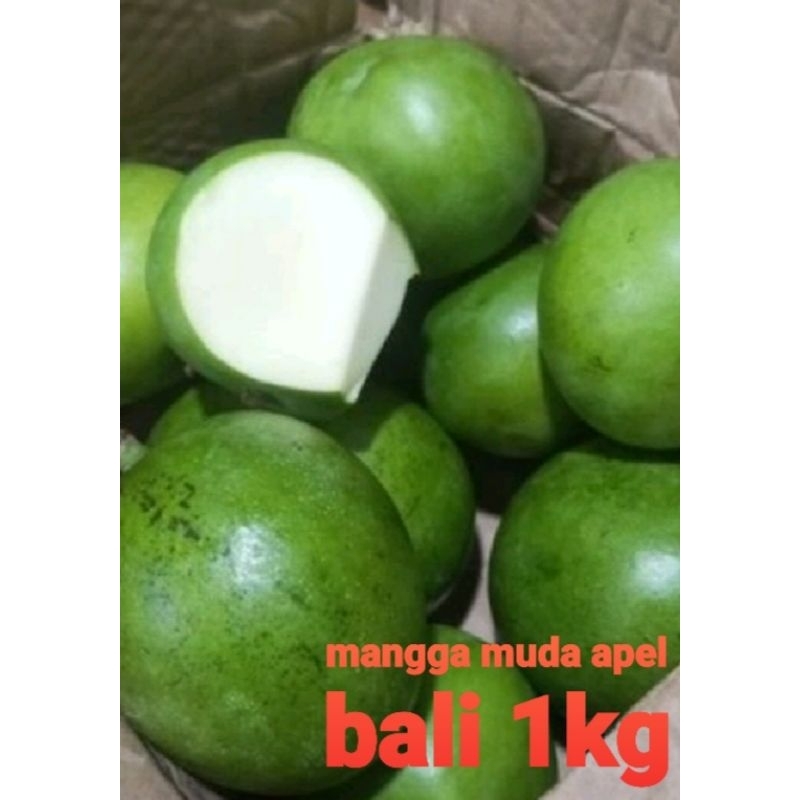 Jual Mangga muda apel bali 1Kg/mangga muda apel besar/mangga muda ...