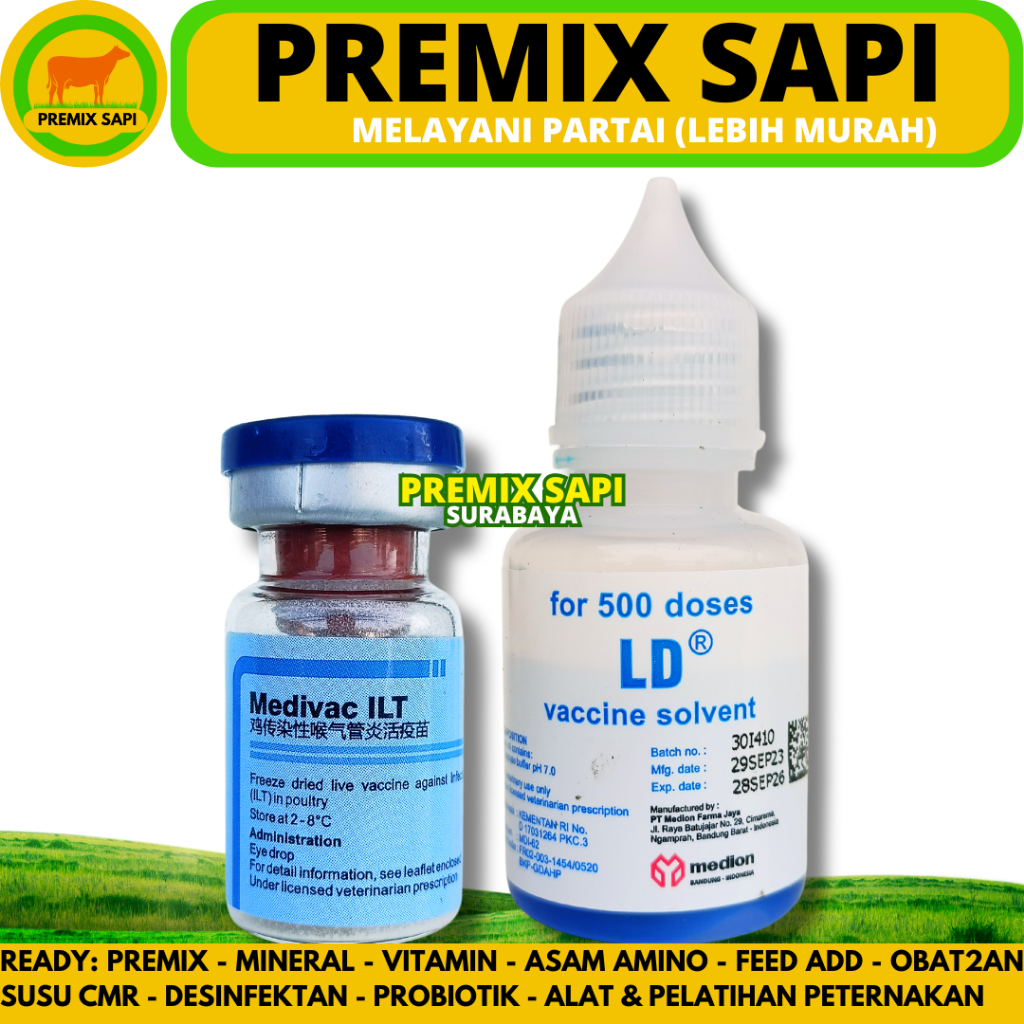 Jual VAKSIN MEDIVAC ILT 500 DOSIS - Vaksin ILT Aktif untuk Gangguan ...