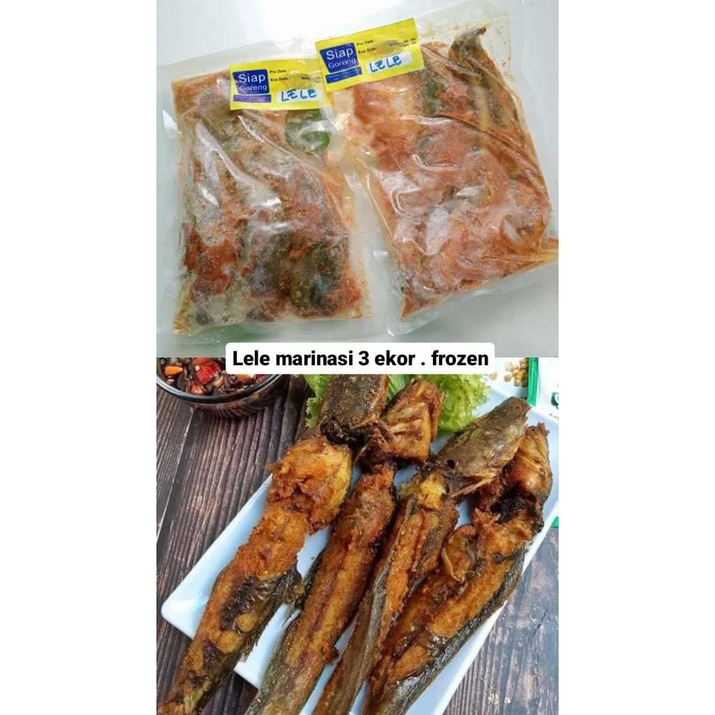 Jual Ikan lele marinasi bumbu kuning 300-350gram 3-4 ekor frozen siap ...