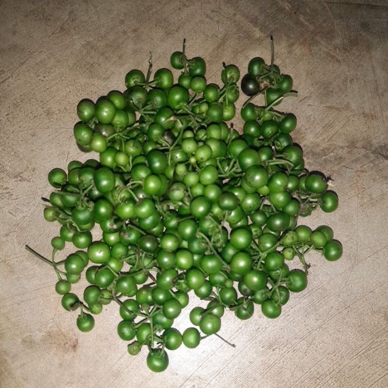 Jual leunca 1kg | Shopee Indonesia