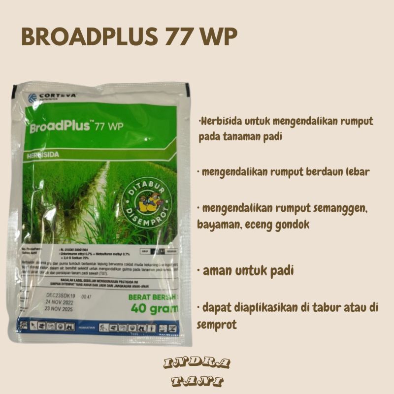 Jual Herbisida broadplus 77 wp 40gr obat rumput padi | Shopee Indonesia
