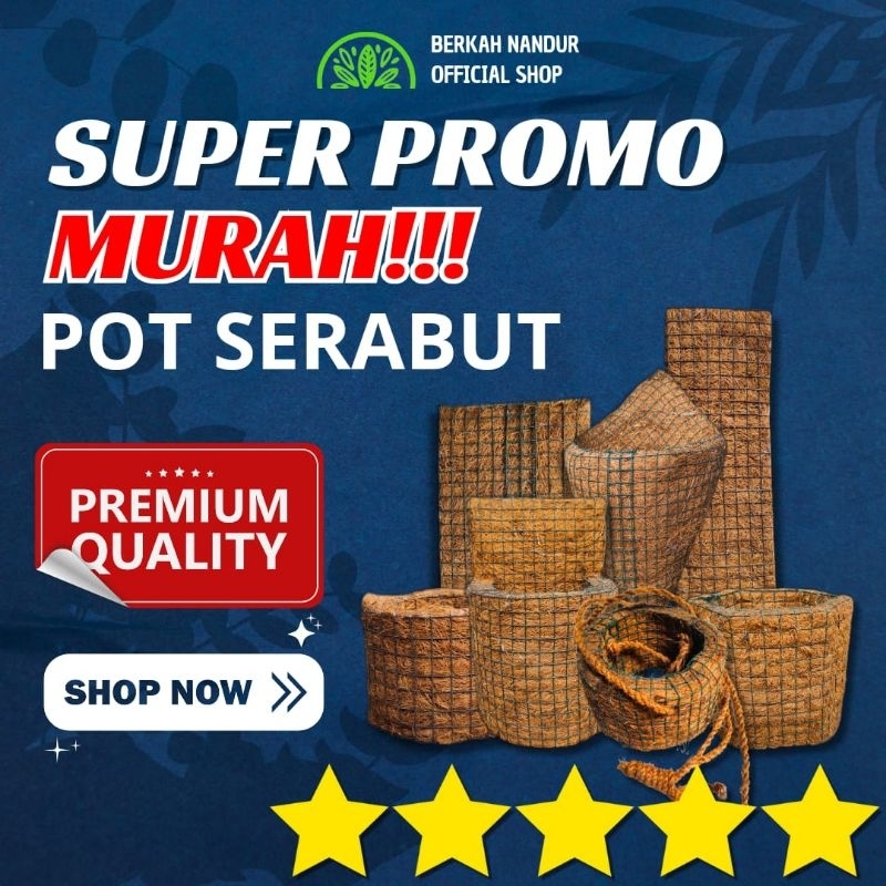Jual PROMO POT SERABUT ANGGREK ALL VARIAN POT SERABUT KOTAK POT SERABUT ...