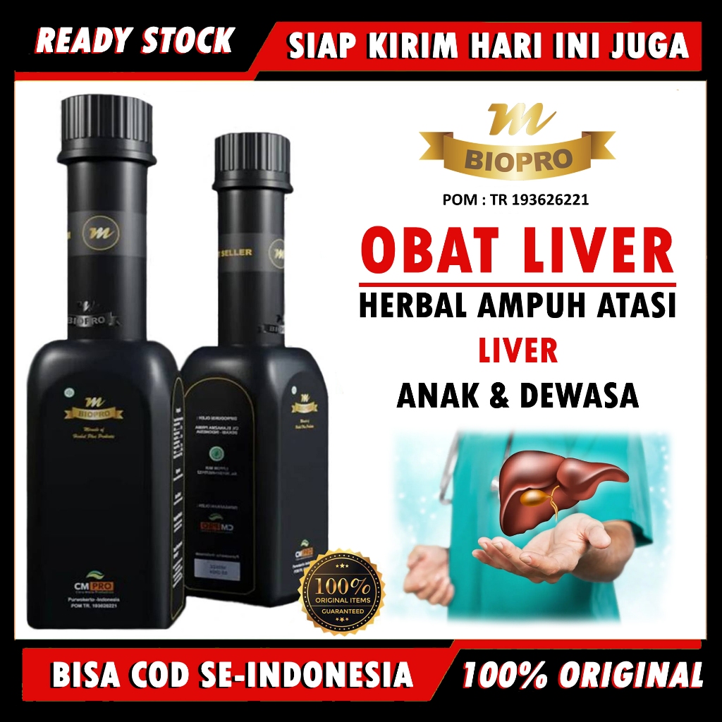 Jual Obat Liver Anak & Dewasa, Perut Bengkak, Sirosis Hati, Limpa ...