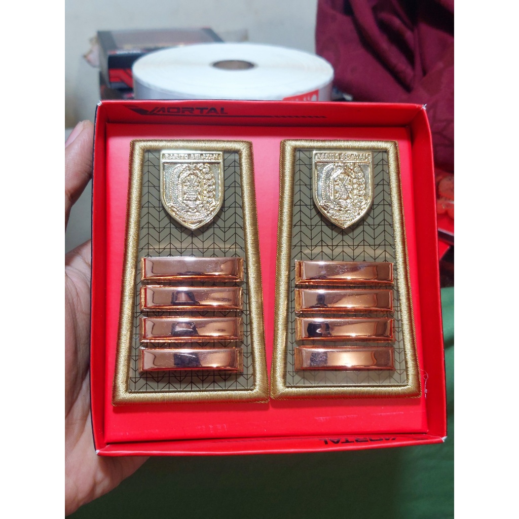 Jual Pangkat barito selatan 1d - pangkat asn barito 1d | Shopee Indonesia