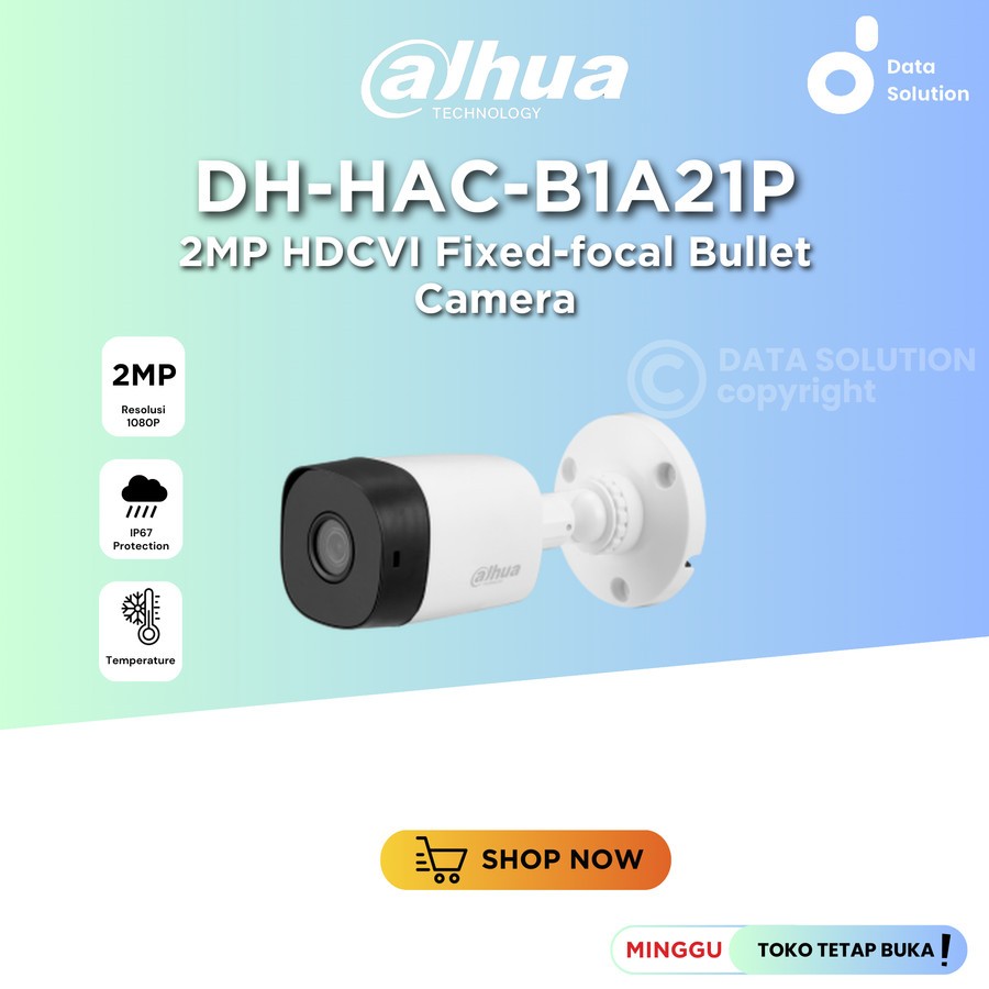 Jual Dahua Camera DH-HAC-B1A21P 2MP HDCVI Fixed-focal Bullet Camera | Shopee Indonesia