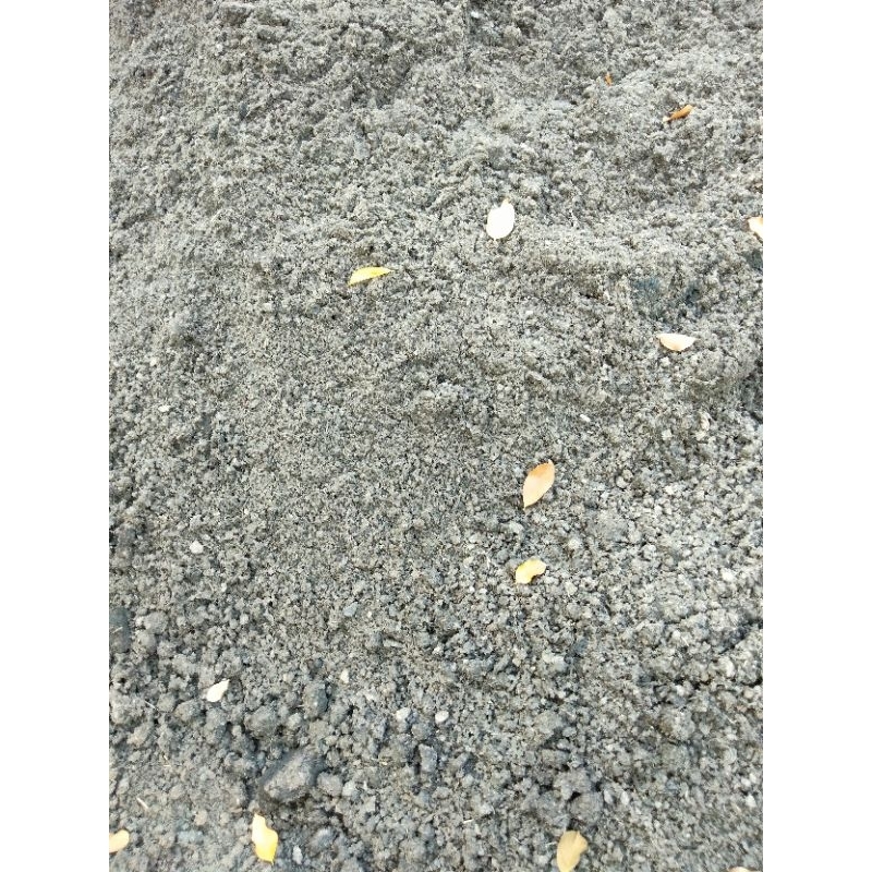 Jual Ampas Tebu Blotong | Shopee Indonesia