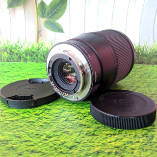 Jual Lensa Fix Sigma 16mm F1.4 DC DN Sony E-Mount not 30mm 35mm art ...
