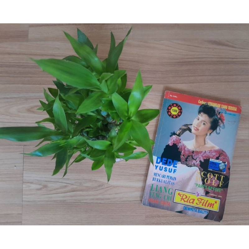 Jual Majalah Ria Film | Shopee Indonesia