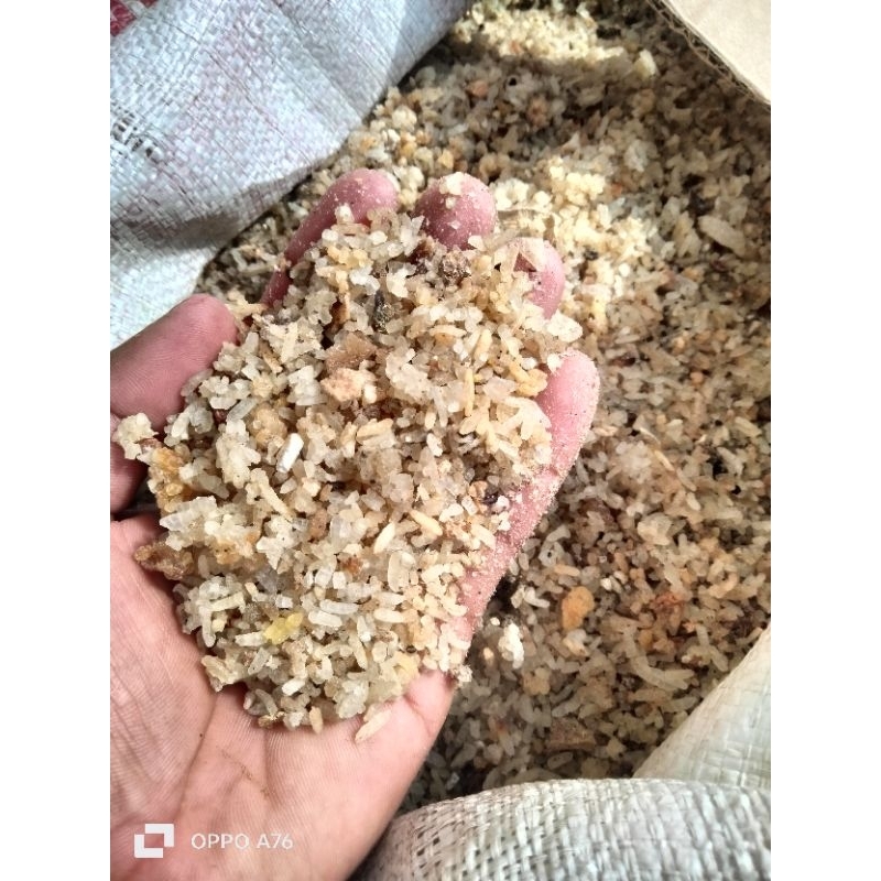 Jual nasi aking /karang 5kg | Shopee Indonesia