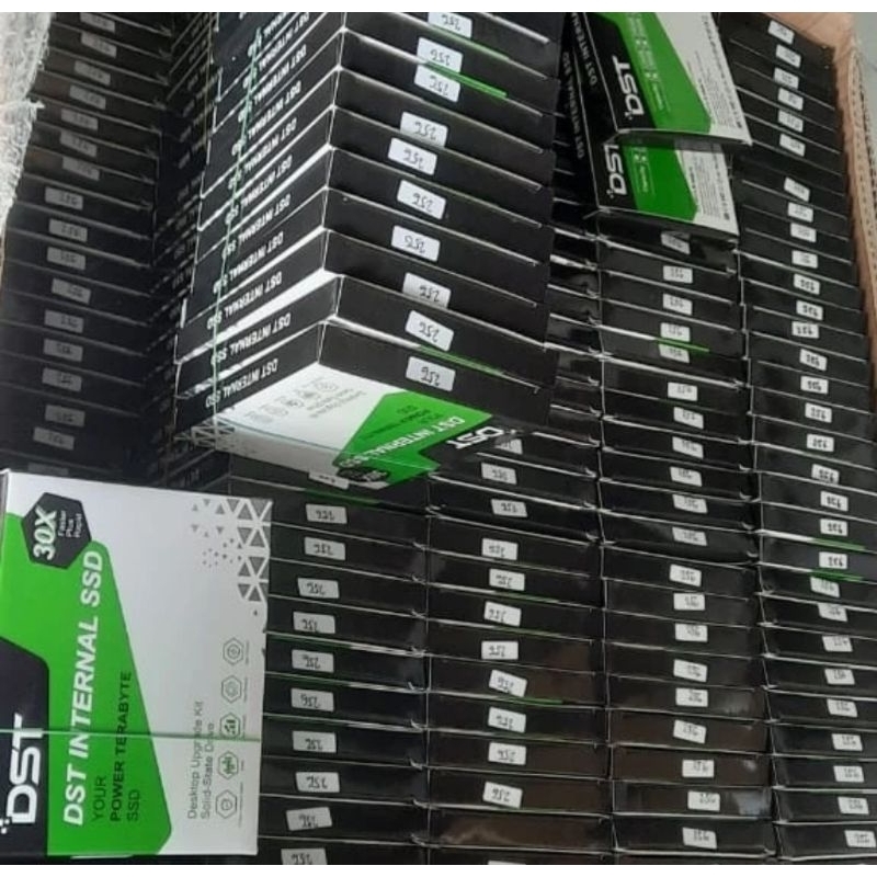 Jual PROMO SSD DST 256Gb GARANSI 2 TAHUN BERKUALITAS | Shopee Indonesia