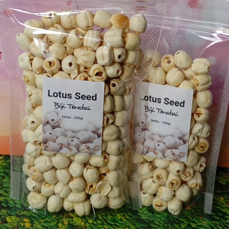 Jual White Lotus Seed/Biji teratai/Lienci | Shopee Indonesia