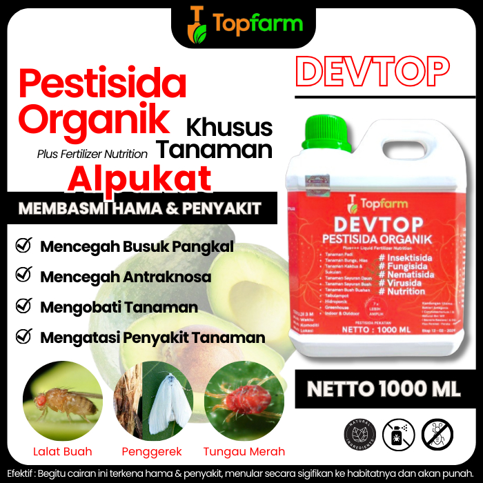 Jual Obat Hama Daun Alpukat / Obat Pembasmi Hama Daun Alpukat / Obat ...