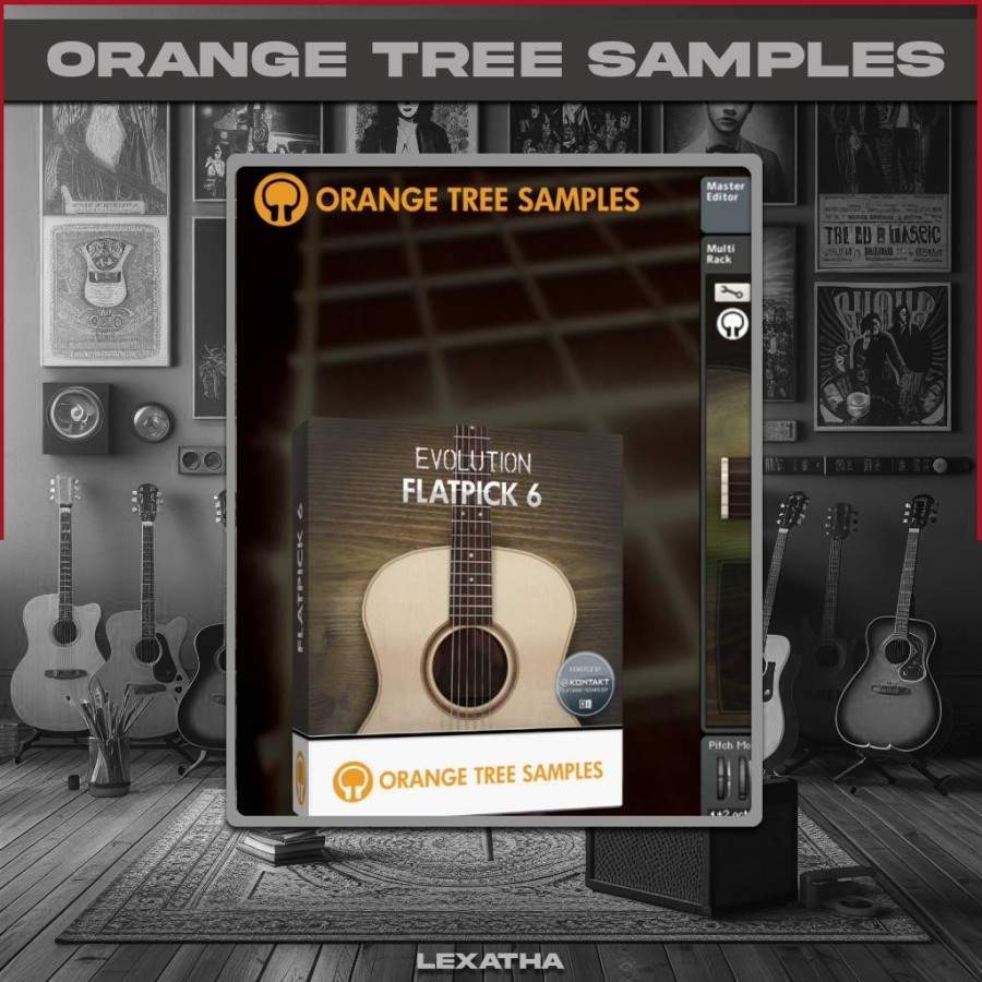 Jual Evolution Flatpick 6 Orange Tree Samples Library | Shopee Indonesia
