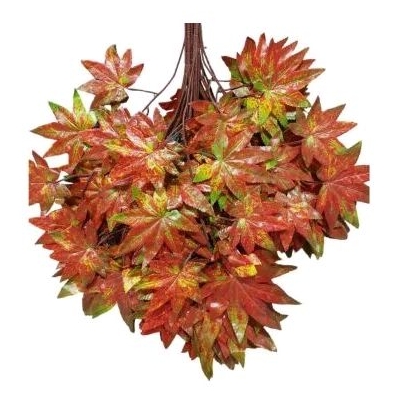 Jual daun maple | Shopee Indonesia