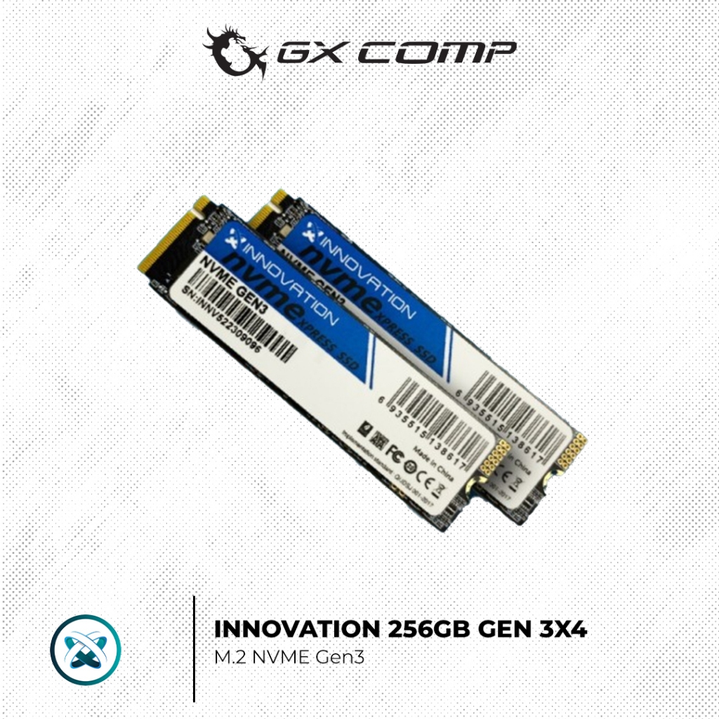 Jual Innovation Raptor Series SSD M.2 2280 NVMe 256GB PCIe Gen3 x4 / M2 ...