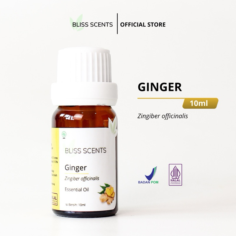 Jual BLISS SCENTS Ginger / Jahe Essential Oil Aromaterapi 100% Murni ...