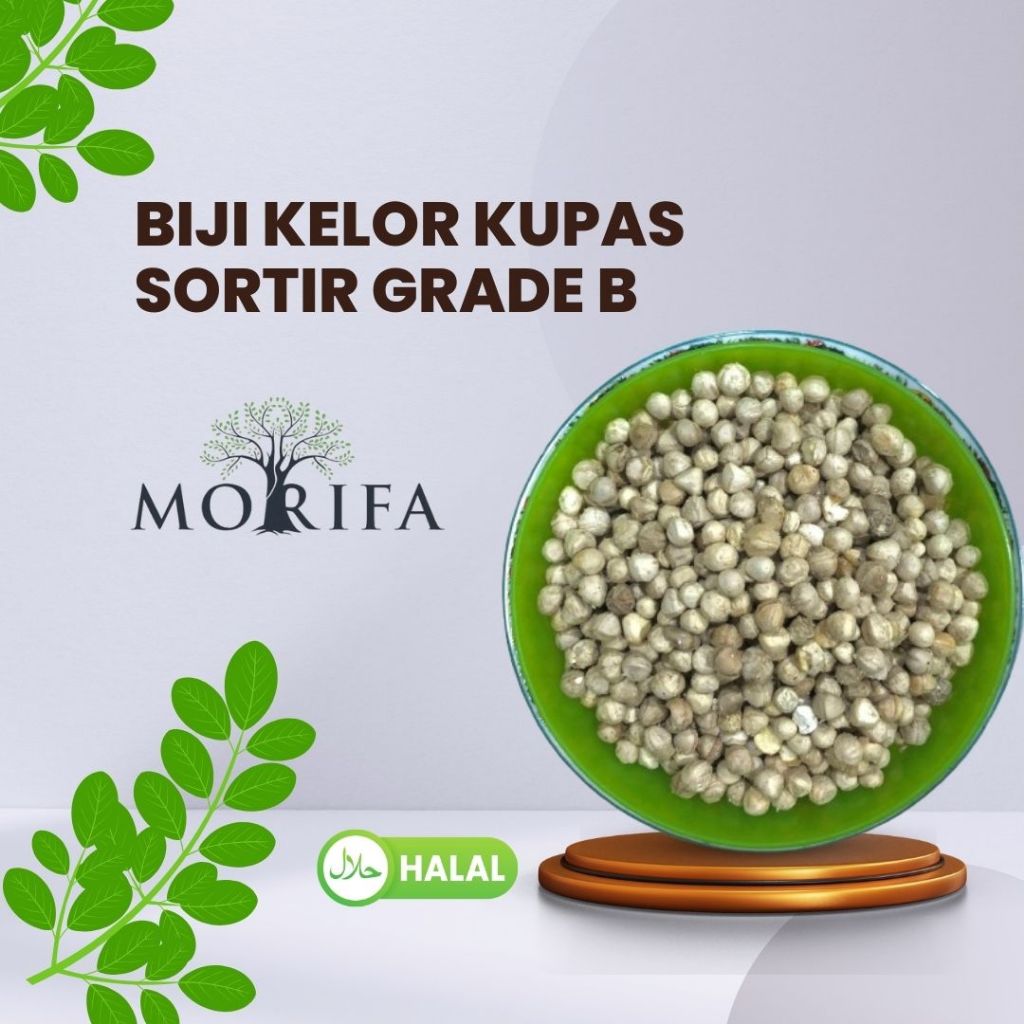 Jual Biji Kelor Kupas Kernel Moringa Seeds Untuk Penjernihan Air ...
