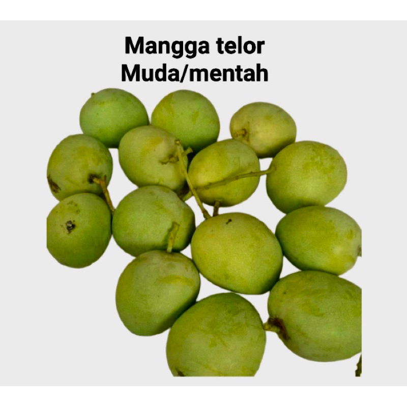 Jual mangga telor muda/mangga rujak mentah hijau 1kg KHUSUS AREA JAWA ...