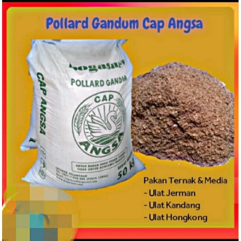 Jual Pollard Cap Angsa Bogasari 15 Kg Pakan Hewan Ternak polar gandum ...