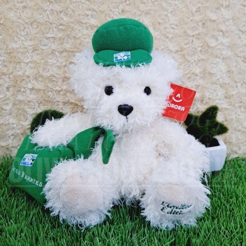 Jual Boneka Beruang Putih Aurora Boneka Bear Irish Ferries Cute Boneka ...