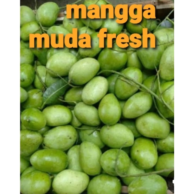 Jual mangga rujak fresh 500 gram | Shopee Indonesia