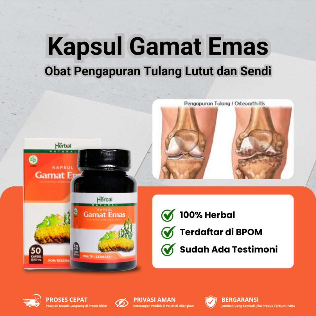 Jual Kapsul Gamat Emas - Obat Pengapuran Tulang Lutut dan Sakit Sendi ...