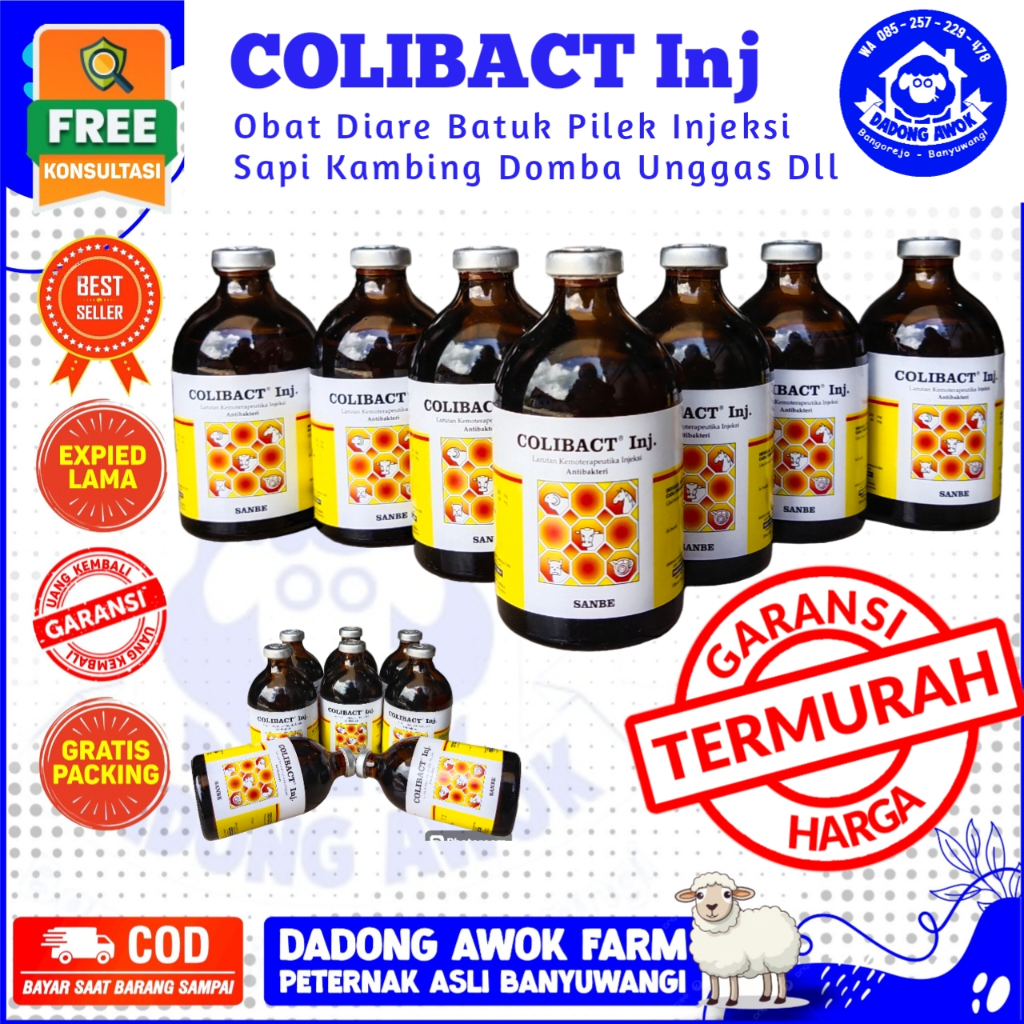Jual COLIBACT injeksi 100 ml Obat DIARE BATUK PILEK Antibiotik SAPI ...