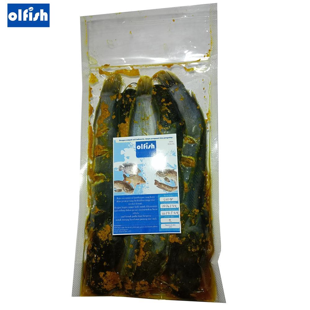 Jual LELE SEGAR BUMBU KUNING Berat 500gr/LELE SIAP GORENG/Lele Bumbu 4 ...