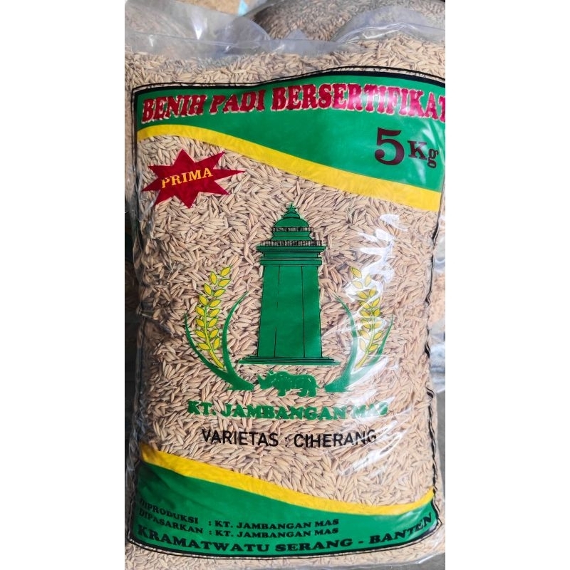Jual Benih Padi CIHERANG (bersertifikat) isi 5 Kg | Label Ungu dan ...