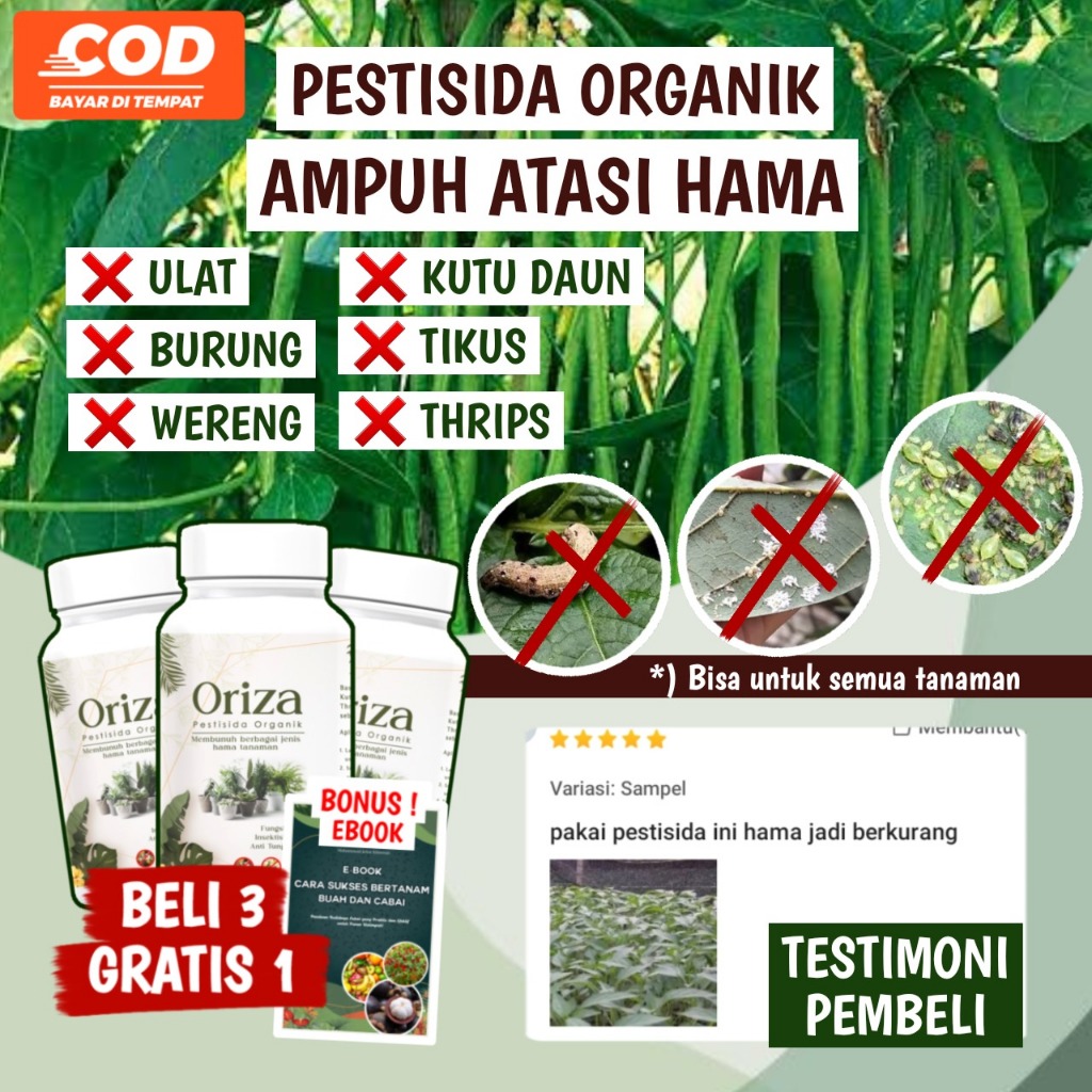 Jual Pupuk NPK Cabai ORIZA: Kandungan ZPT & Asam Amino untuk Mengatasi ...