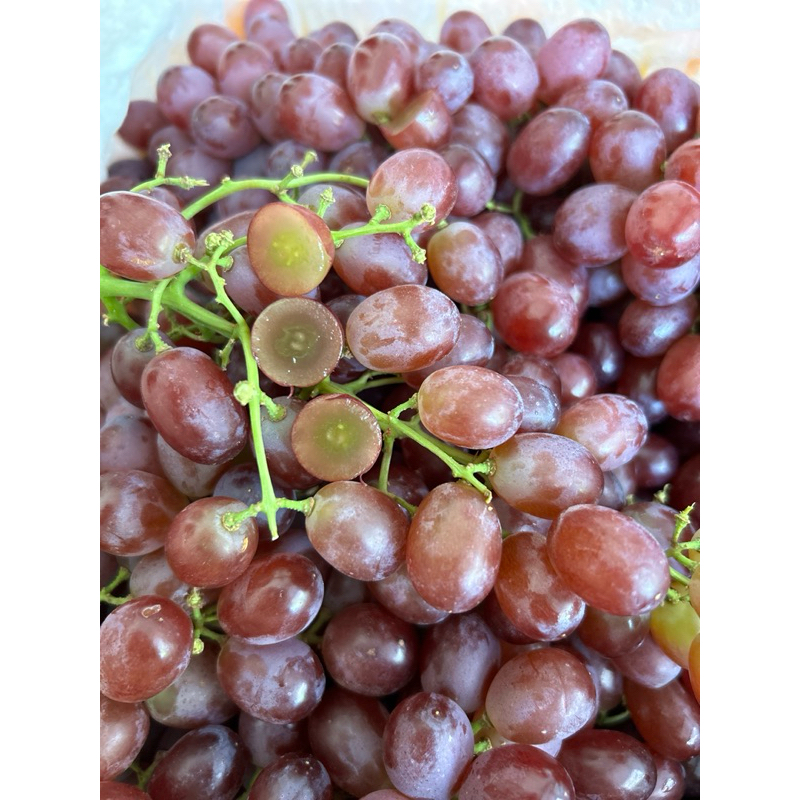 Jual Anggur Crimson | Red Crimson Grape Seedless | Anggur Merah Crimson ...