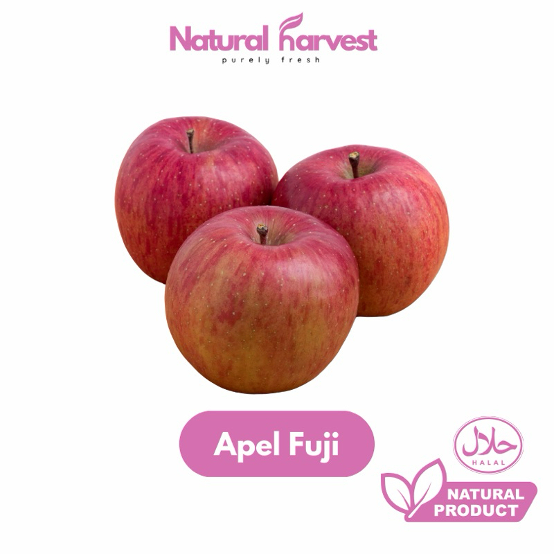 Jual Apel Fuji Super Fresh Import 1kg | NaturalHarvest! | Shopee Indonesia