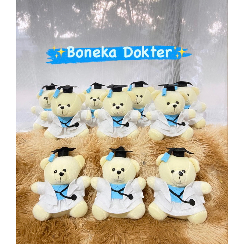 Jual Boneka Profesi KESEHATAN NAKES (Dokter Perawat Bidan Apoteker Gizi ...