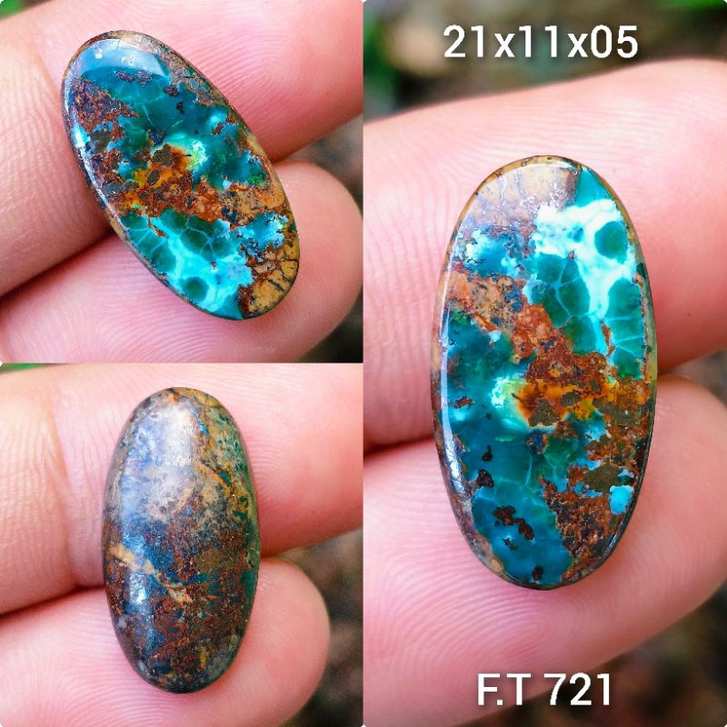 Jual PIRUS PERSIA NATURAL HIGH QUALITY 721 | Shopee Indonesia