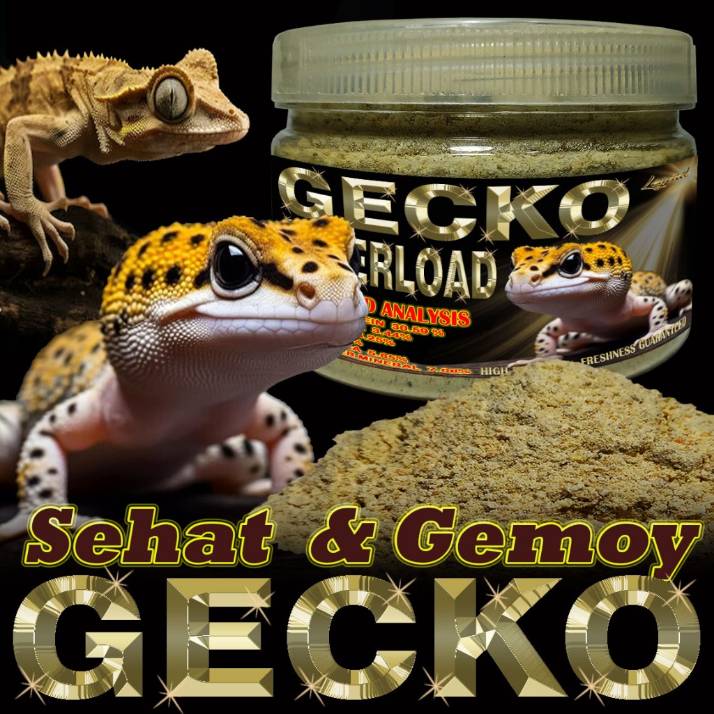 Jual 250GR GECKO SUPERLOAD GUTLOAD FEEDER MAKANAN BERNUTRISI JANGKRIK ...