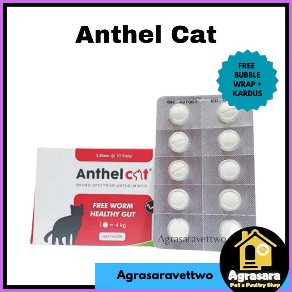 Jual Anthel cat 1 TABLET (KEMASAN BLISTER)- Obat Cacing Kucing LIKE ...