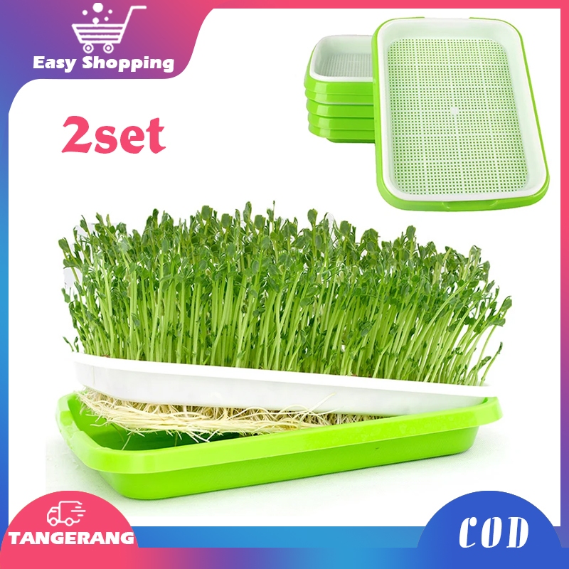Jual 2set Microgreen Tray Double Layer Tray Semai Microgreen Wadah ...