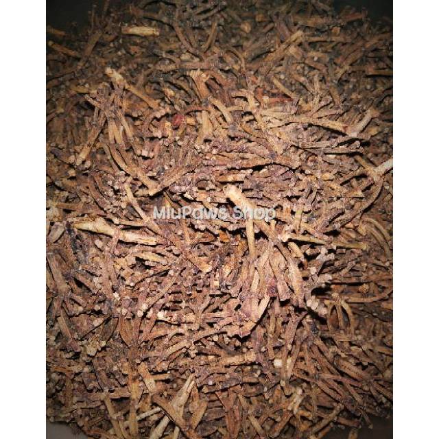 Jual (100 Gram) Gagang Cengkeh Kering Original Batang Tangkai Cengkeh ...