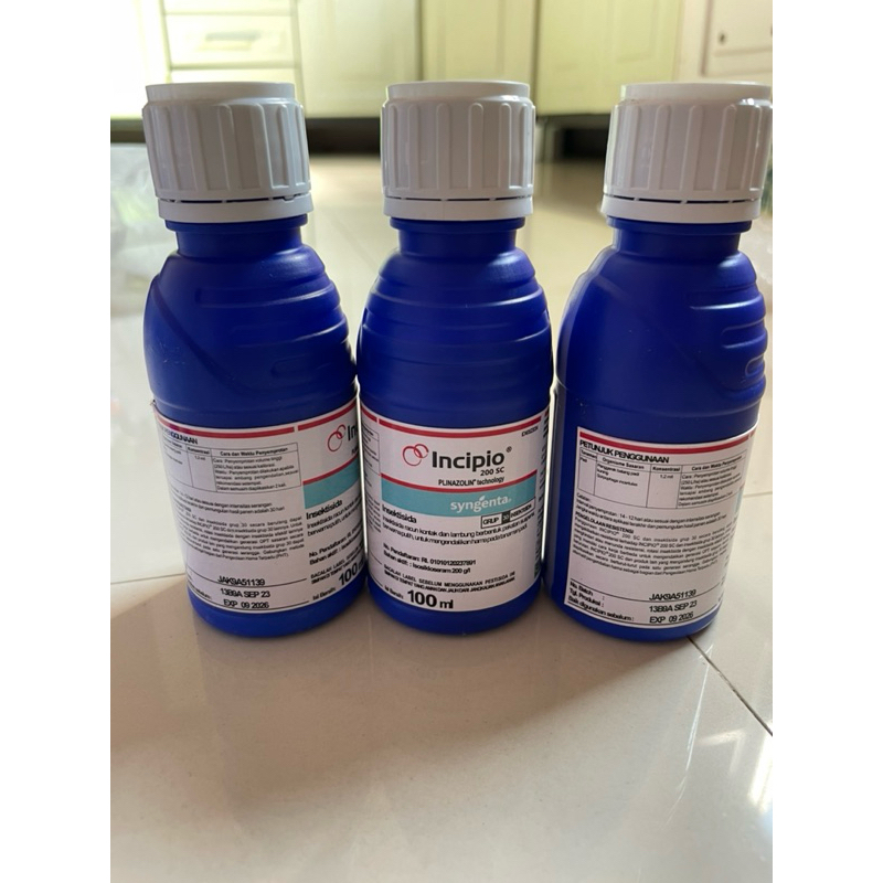 Jual Incipio 200 SC 100 ML Produk ASLI ORIGINAL SYNGENTA Insektisida ...