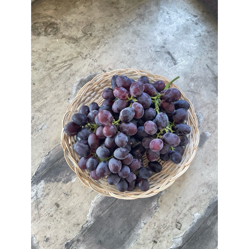 Jual HAPPYFRESHFRUITS Anggur Hitam RRC - 500g | Shopee Indonesia