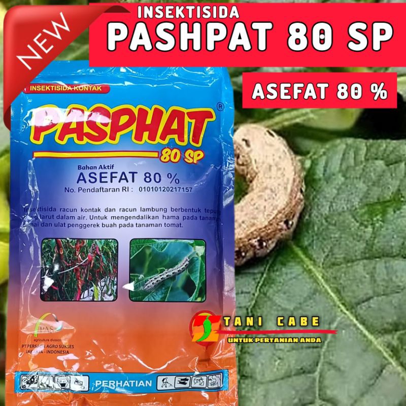 Jual INSEKTISIDA PASHPAT ASEFAT 80 % BASMI ULAT GRAYAK DAN LALAT BUAH ...