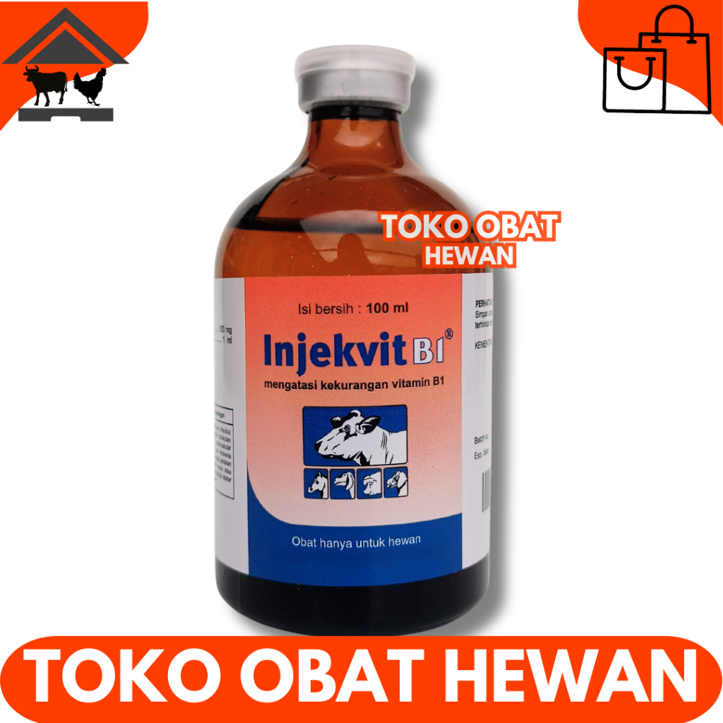 Jual INJEKVIT B1 100ML MEDION - Mengatasi kekurangan vitamin B1 pada ...