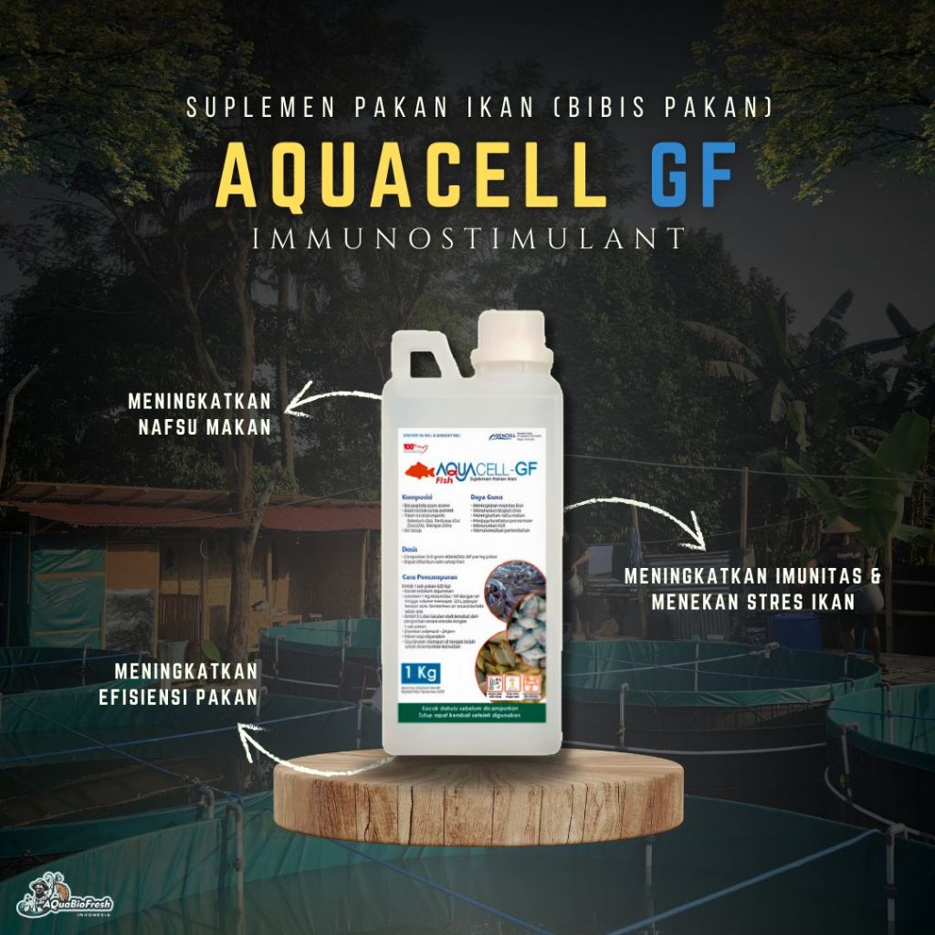 Jual Imunostimulan Aquacell GF Untuk Meningkatkan Imun Ikan (Bibis ...