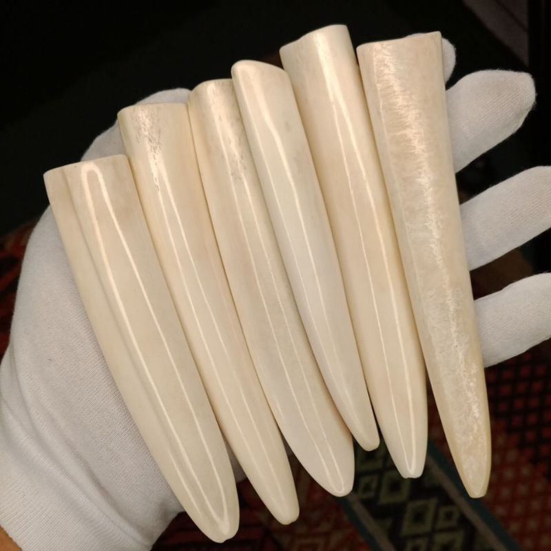 Jual produk baru replika tarwal tar1n9 w4lrus piparokokku | Shopee ...