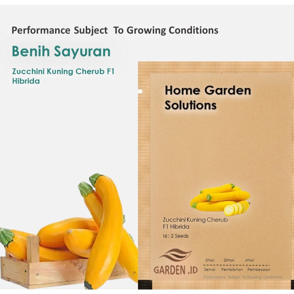 Jual Bibit Sayuran Zucchini Kuning Cherub F1 Hibrida ( 2 Seed ...